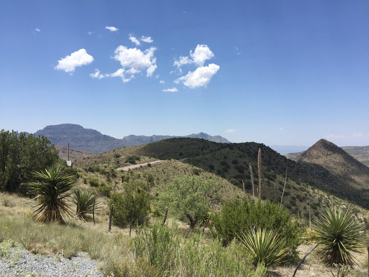 We Decided to Make Some Robes | Highway Robery